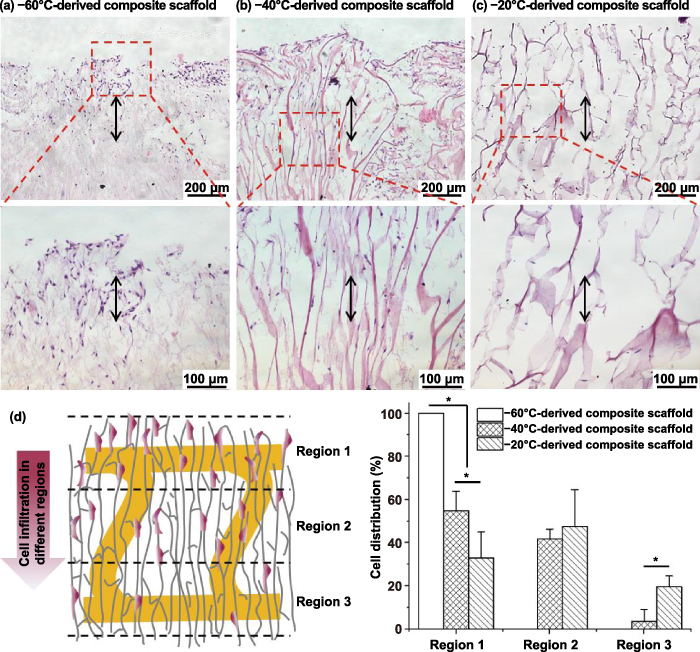 Embedding aligned nanofibrous architectures within 3D-printed polycaprolactone scaffolds for ...