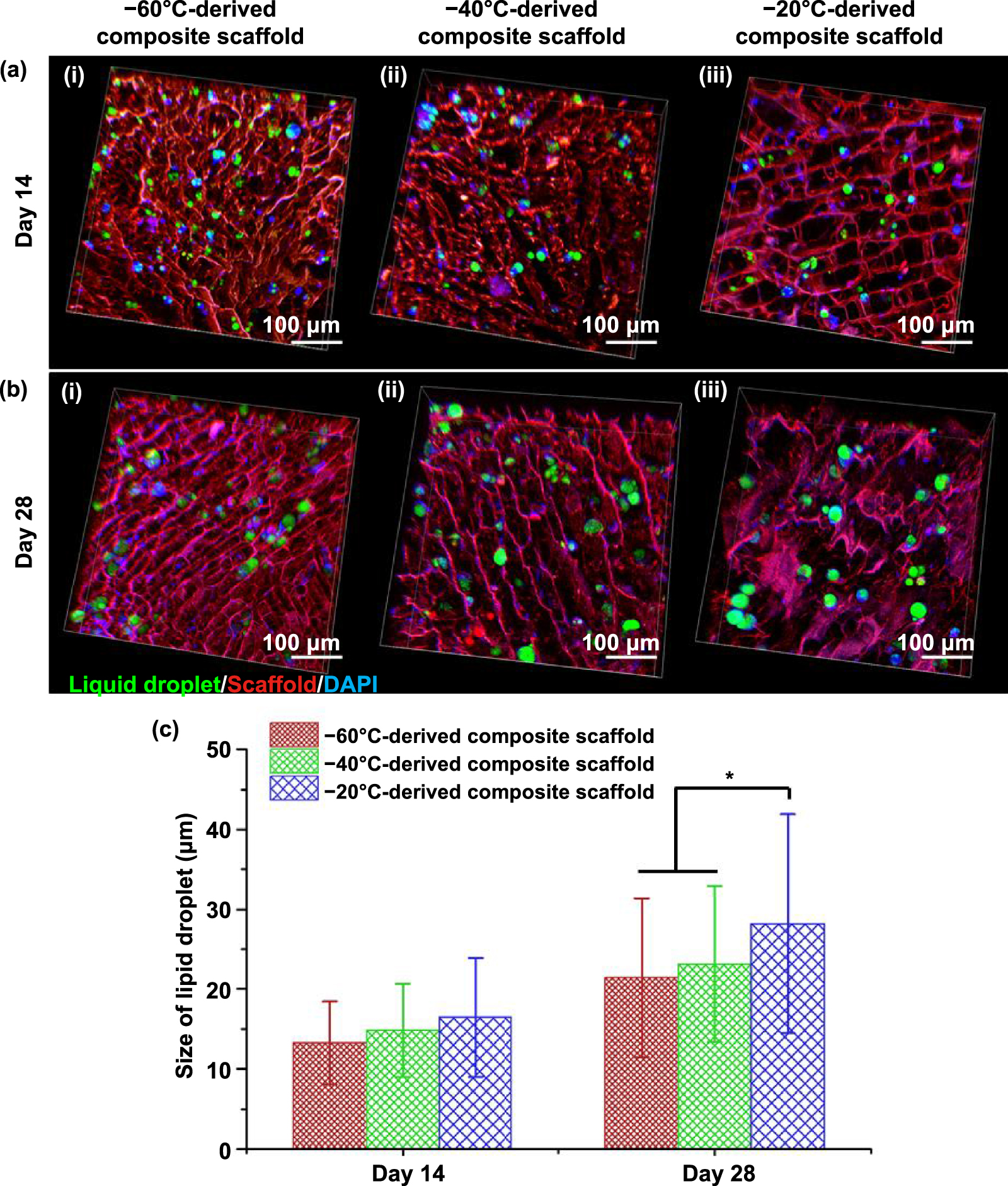 Embedding aligned nanofibrous architectures within 3D-printed polycaprolactone scaffolds for ...