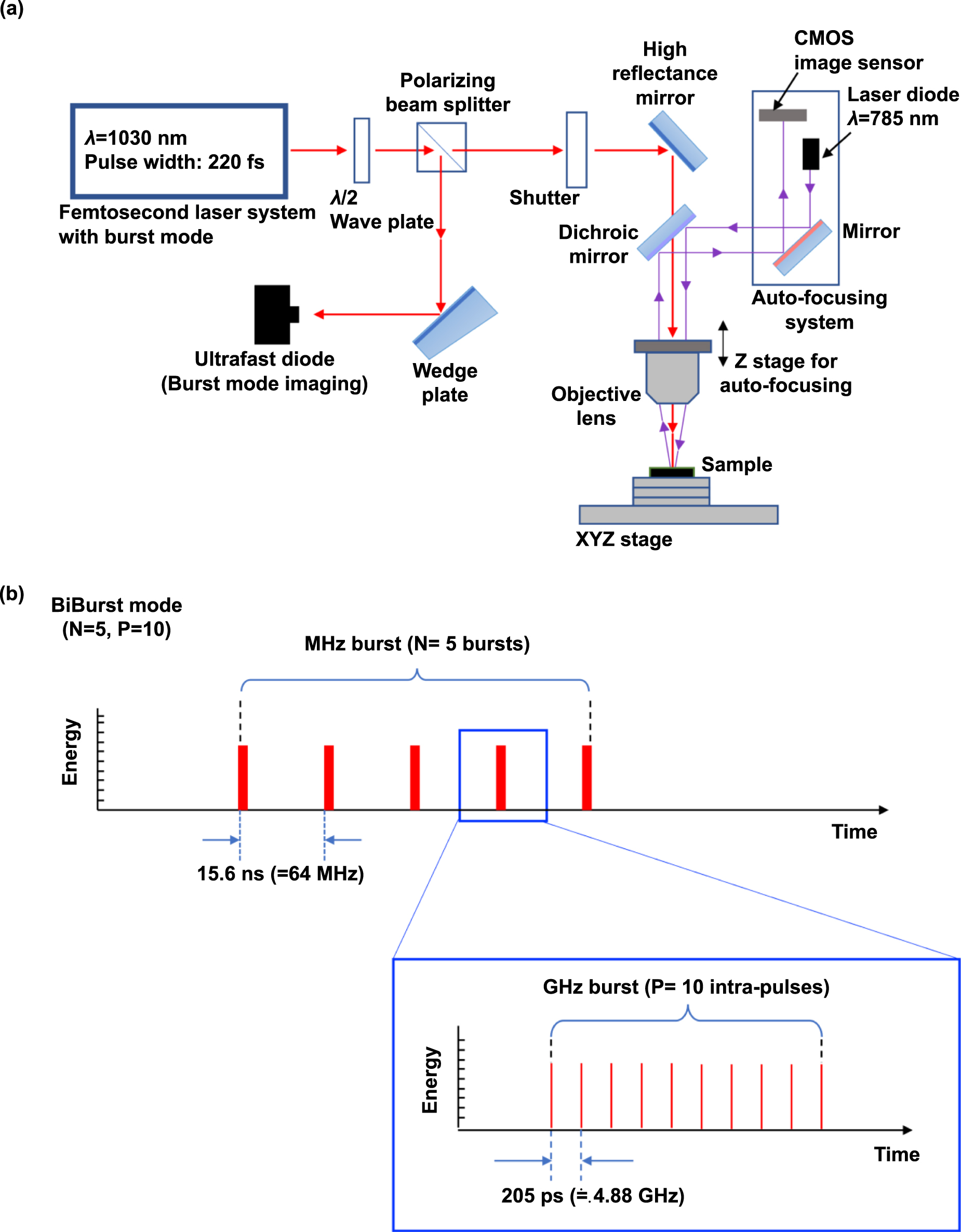 GHz bursts in MHz burst (BiBurst) enabling high-speed femtosecond laser ...