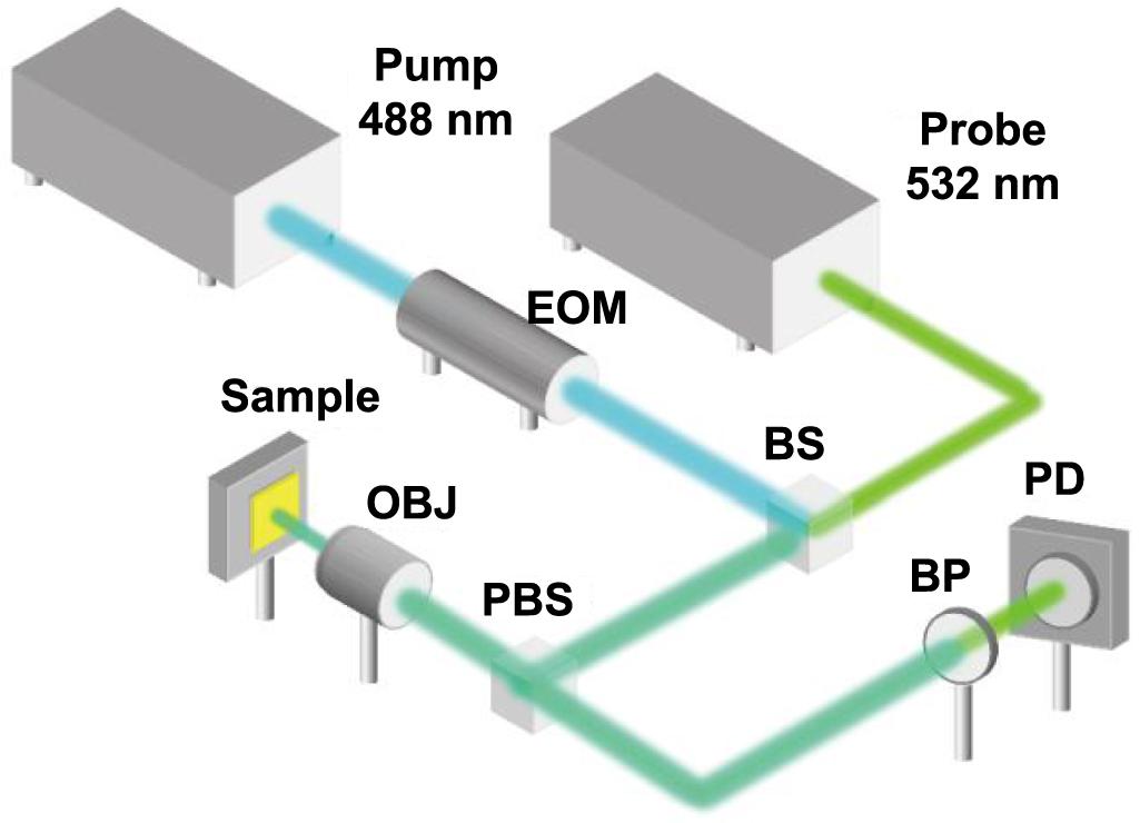 Temperature-mediated structural evolution of vapor–phase deposited ...