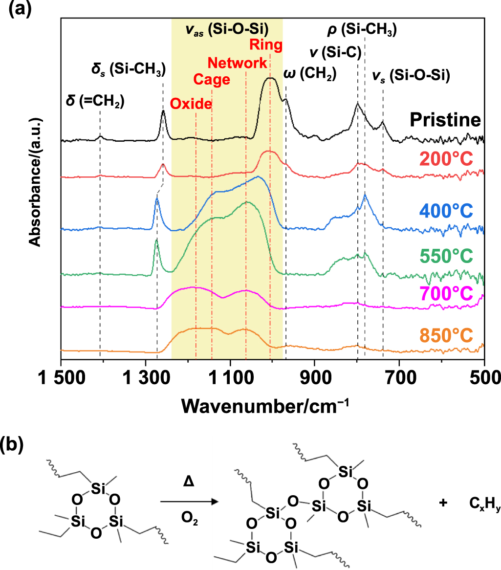 Temperature-mediated structural evolution of vapor–phase deposited ...