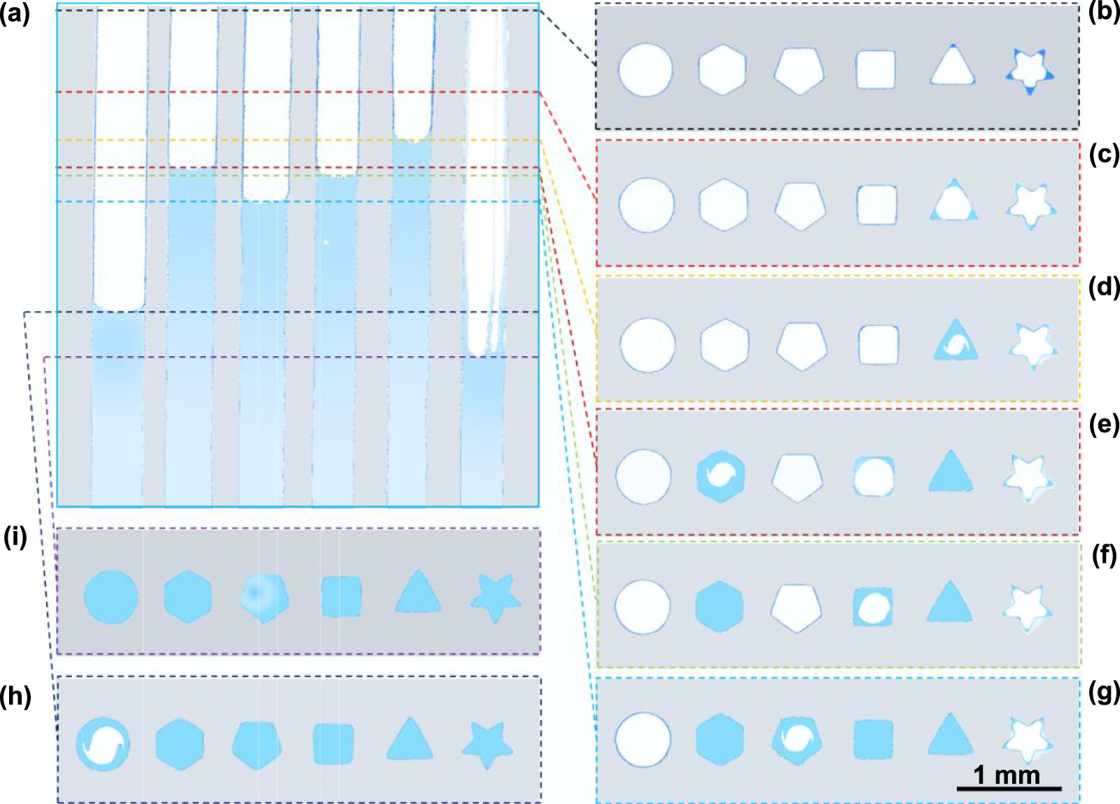 Bionic microchannels for step lifting transpiration - IOPscience