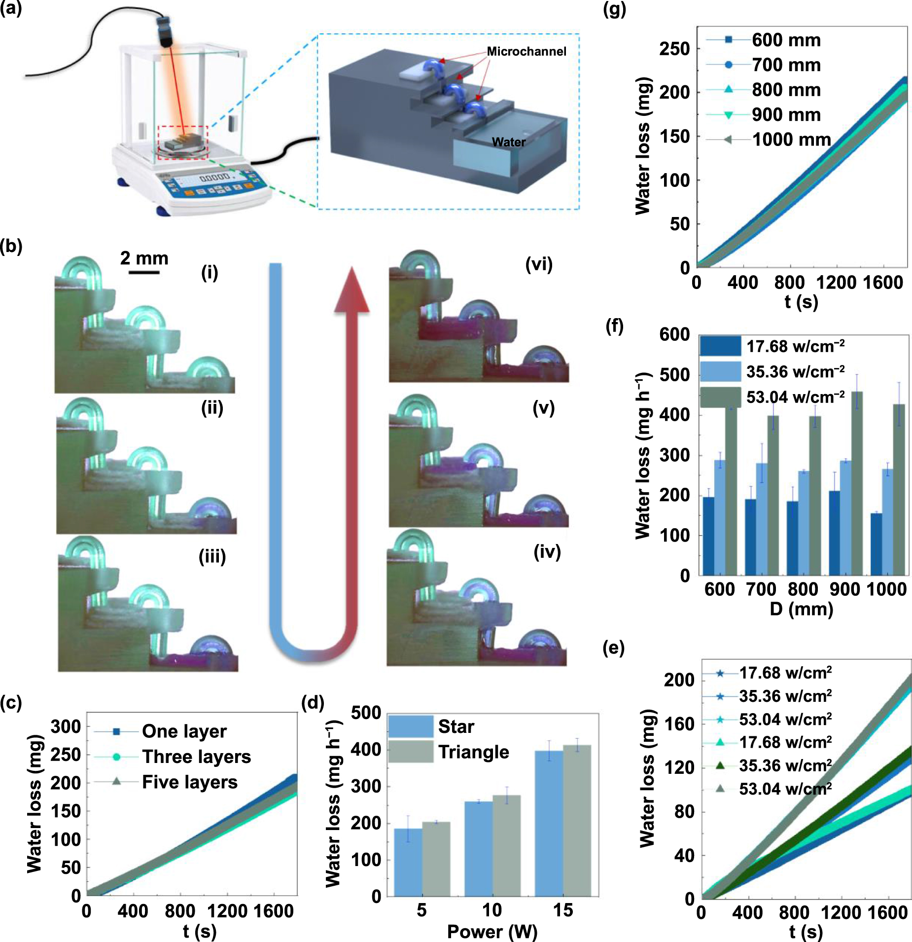 Bionic microchannels for step lifting transpiration - IOPscience