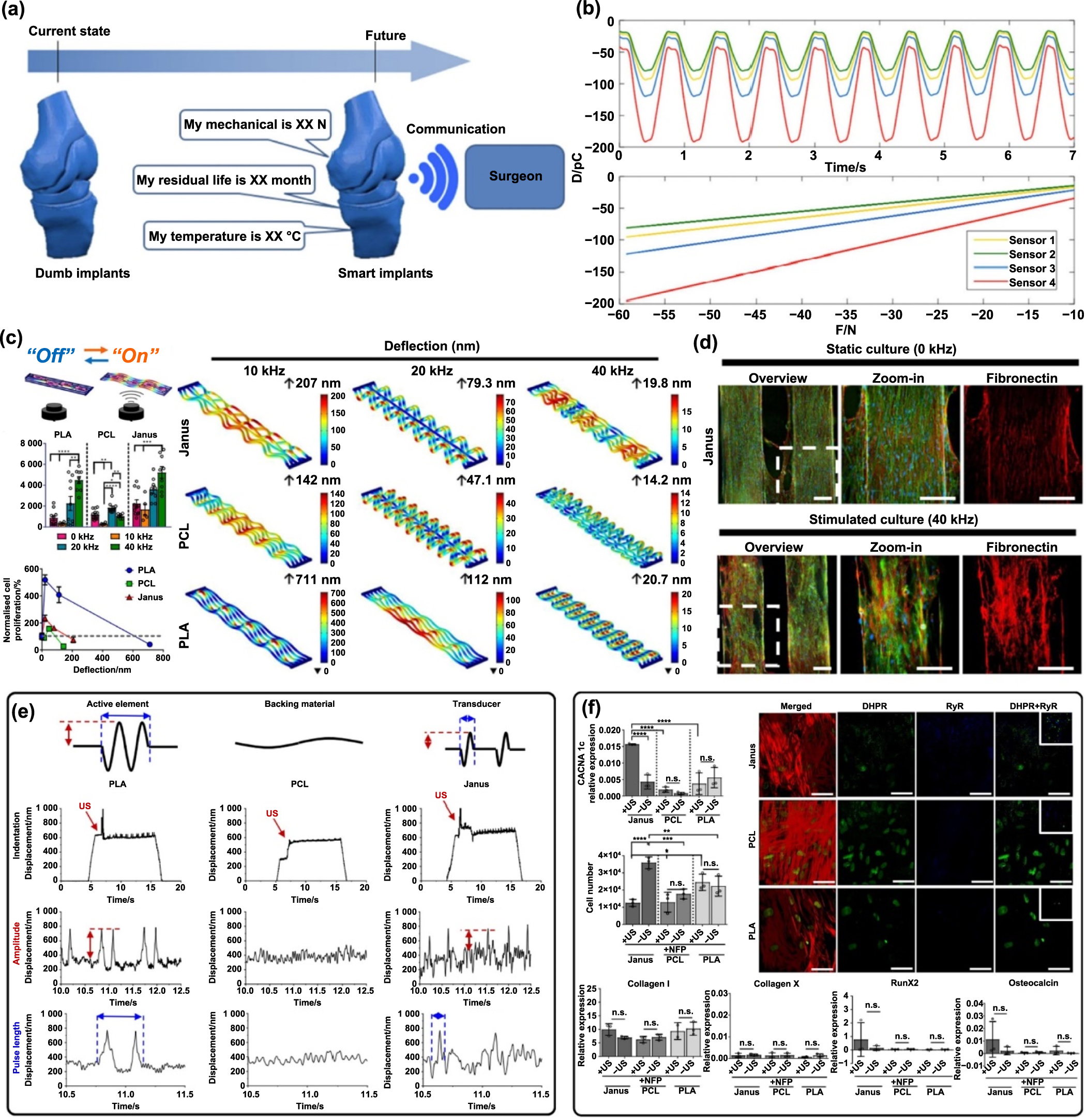 3D/4D printed bio-piezoelectric smart scaffolds for next-generation ...