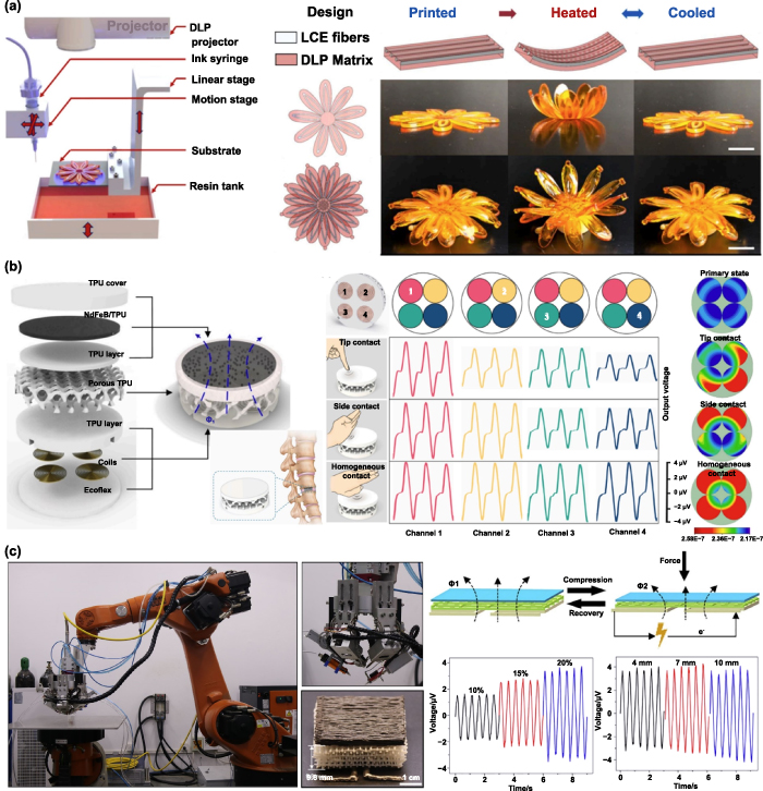 3D/4D printed bio-piezoelectric smart scaffolds for next-generation ...