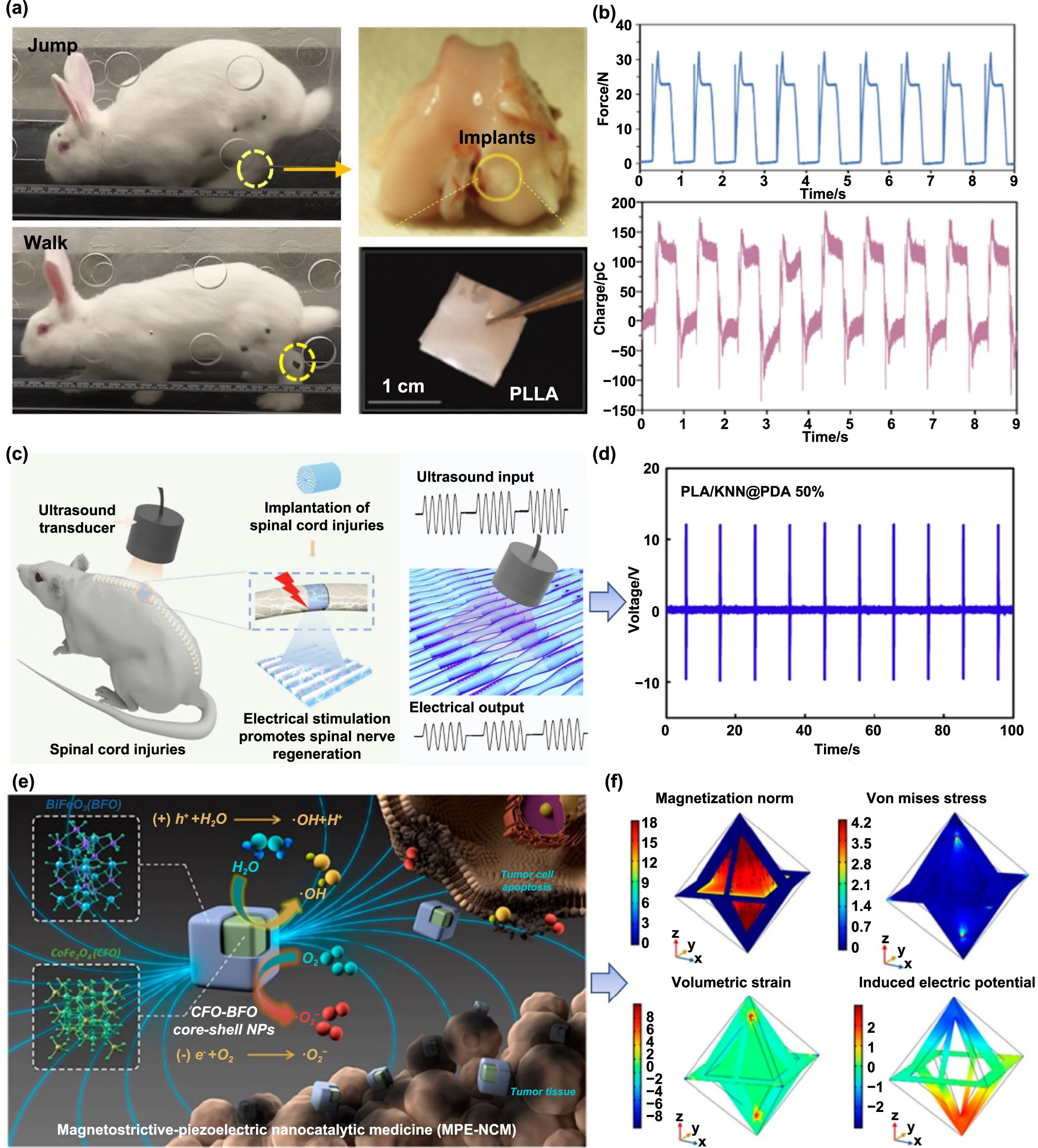 3D/4D printed bio-piezoelectric smart scaffolds for next-generation ...