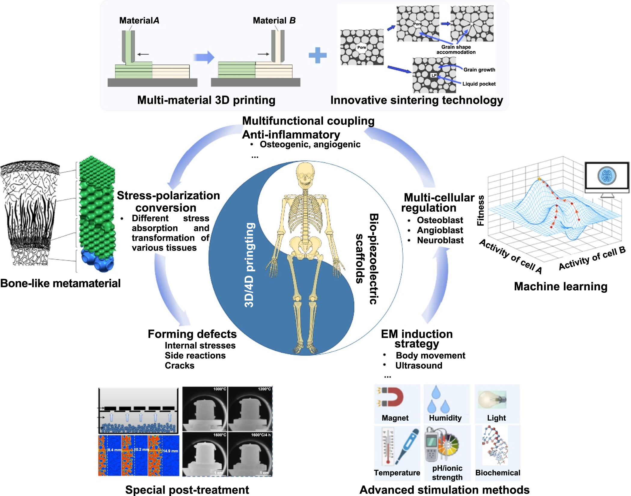 3D/4D printed bio-piezoelectric smart scaffolds for next-generation ...