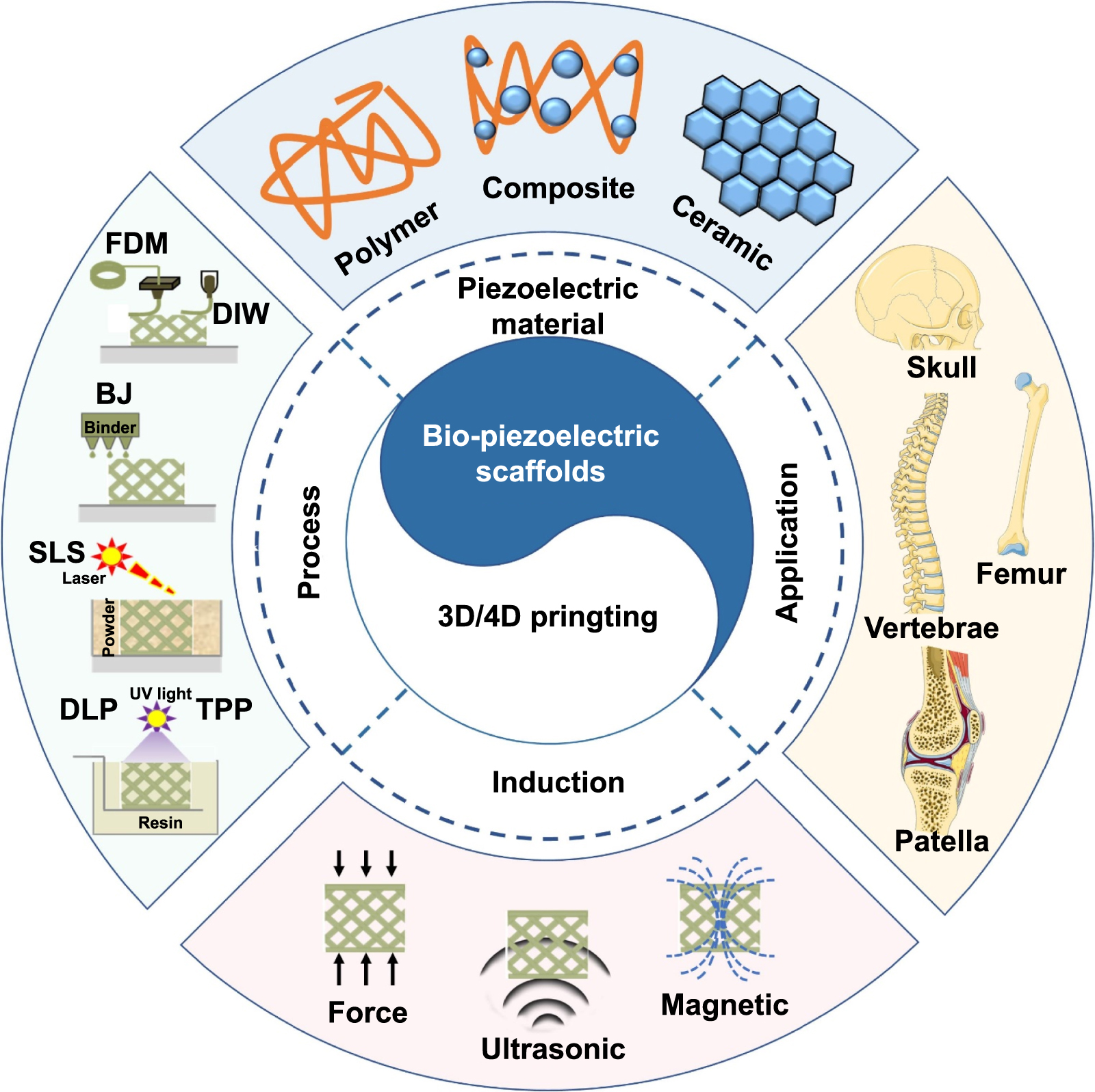 3D/4D printed bio-piezoelectric smart scaffolds for next-generation ...