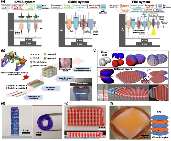 3D/4D printed bio-piezoelectric smart scaffolds for next-generation ...