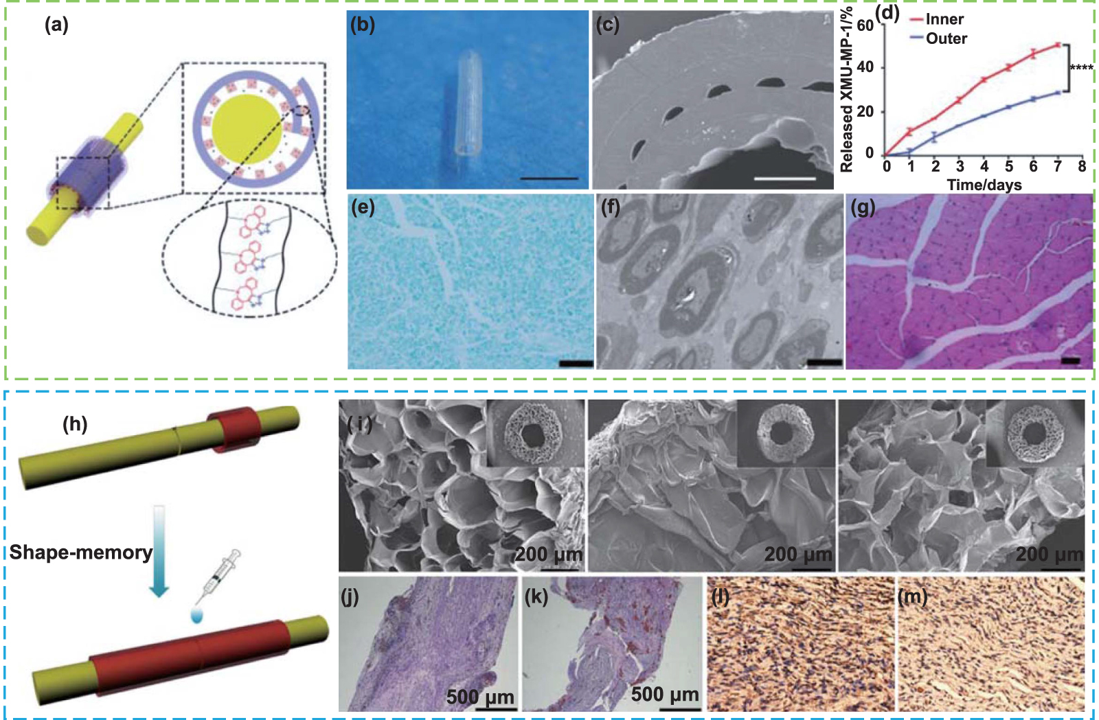 Advances in 3D printing scaffolds for peripheral nerve and spinal cord ...