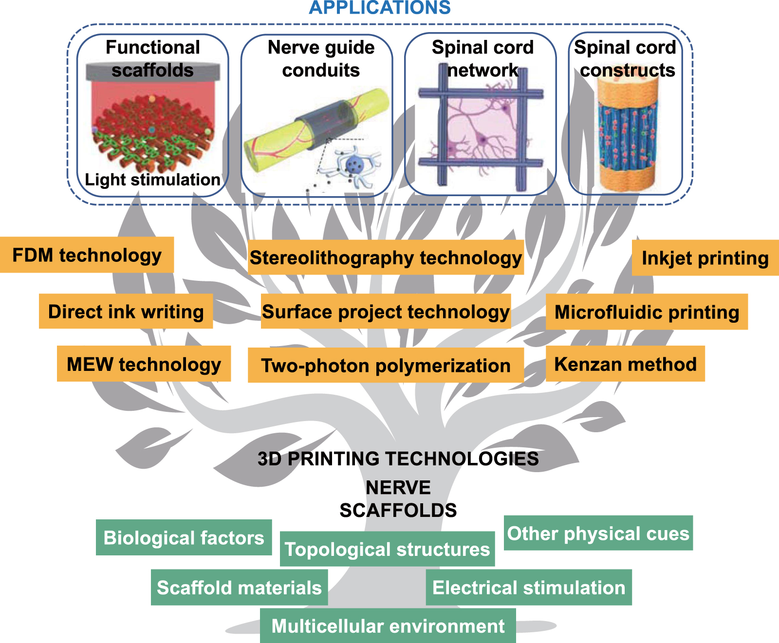 Advances in 3D printing scaffolds for peripheral nerve and spinal cord ...