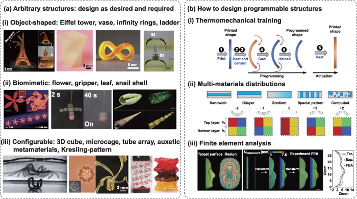 4D printing: interdisciplinary integration of smart materials ...