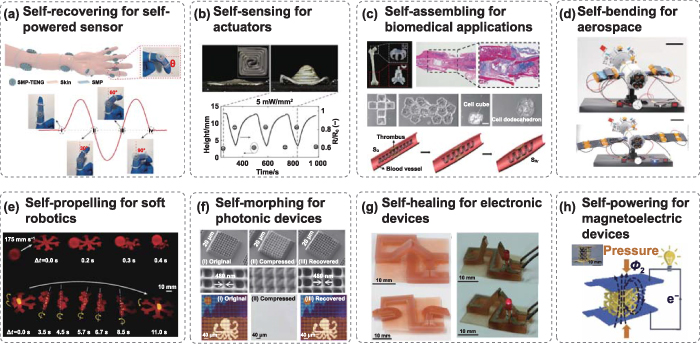 4D printing: interdisciplinary integration of smart materials ...