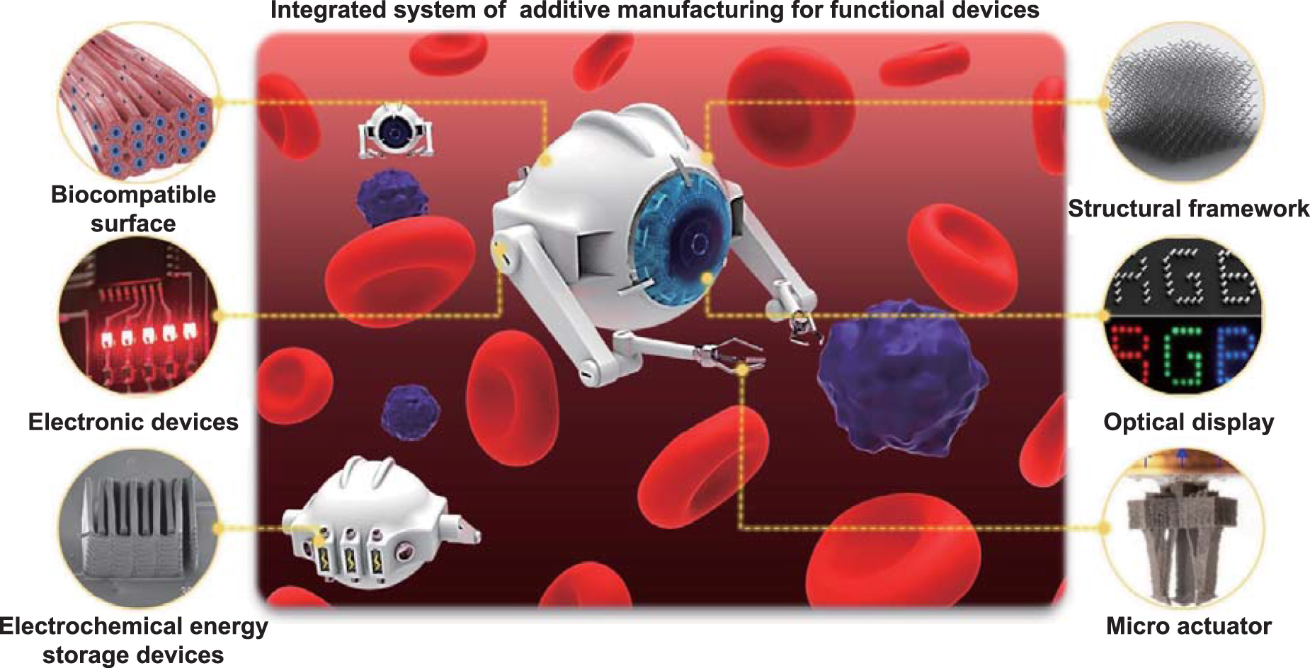 Additive manufacturing of promising heterostructure for biomedical ...