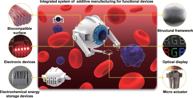 Additive manufacturing of promising heterostructure for biomedical ...