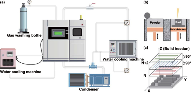 Additive manufacturing of promising heterostructure for biomedical ...