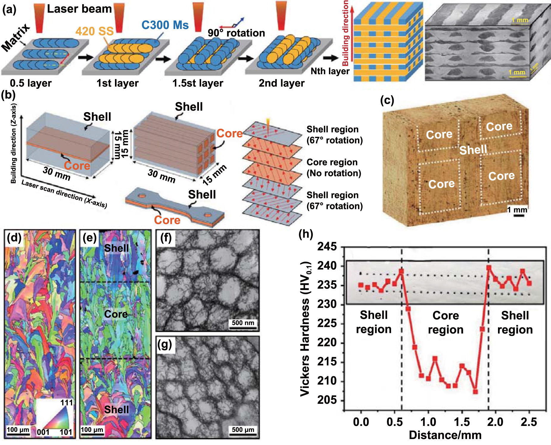 Additive manufacturing of promising heterostructure for biomedical ...