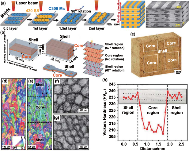 Additive manufacturing of promising heterostructure for biomedical ...