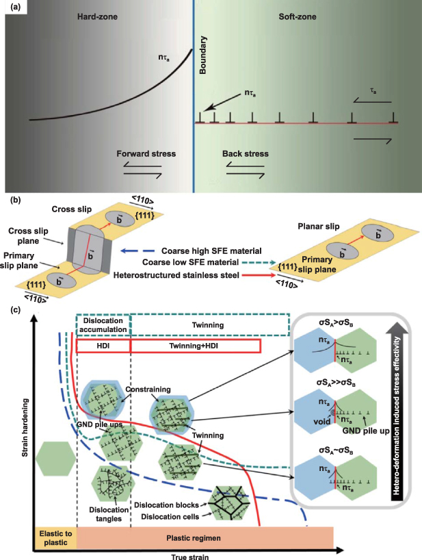 Additive manufacturing of promising heterostructure for biomedical ...