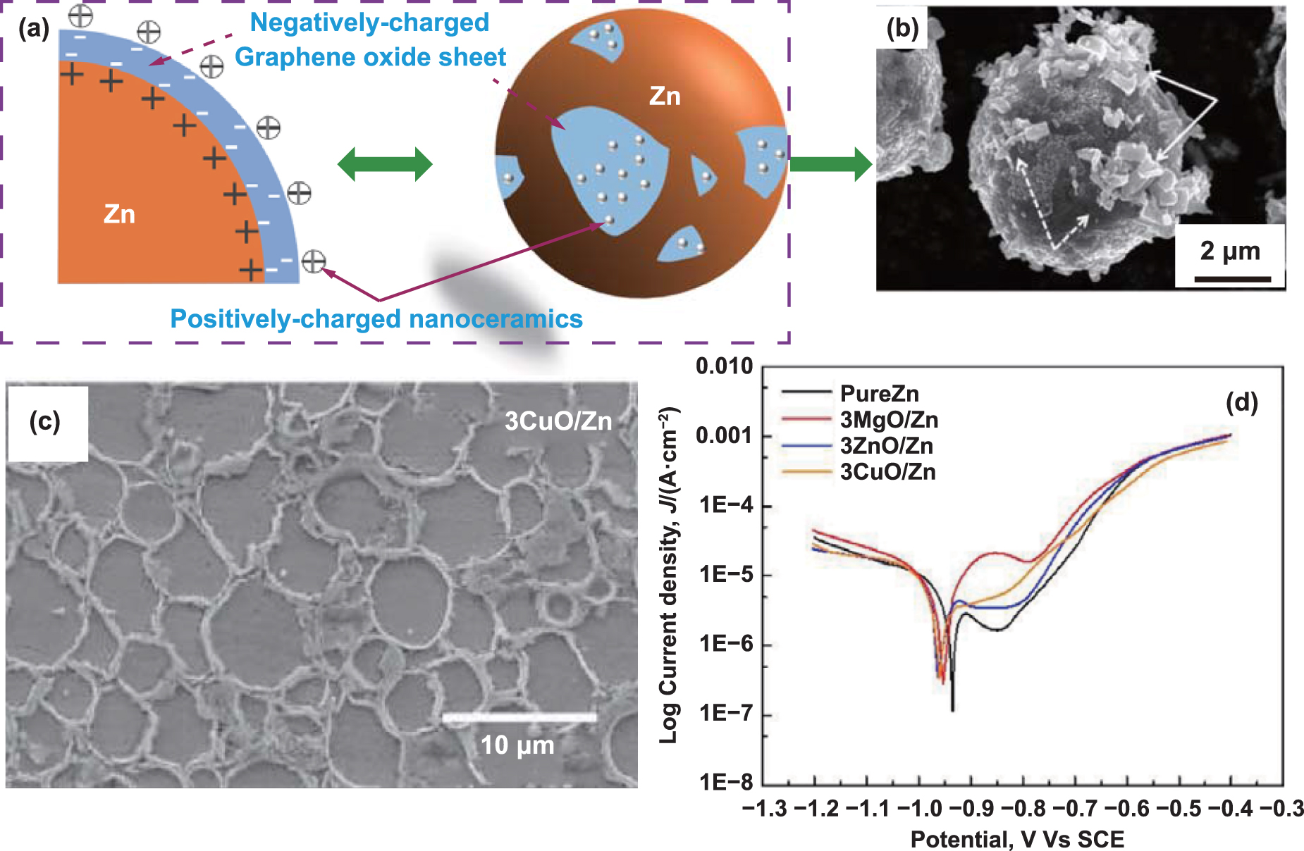 Additive manufacturing of promising heterostructure for biomedical ...