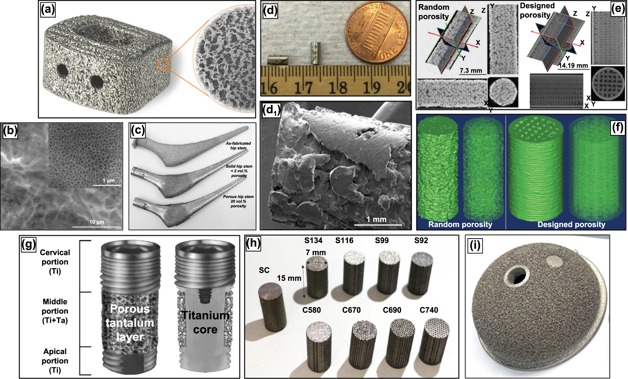 Porous metal implants: processing, properties, and challenges - IOPscience