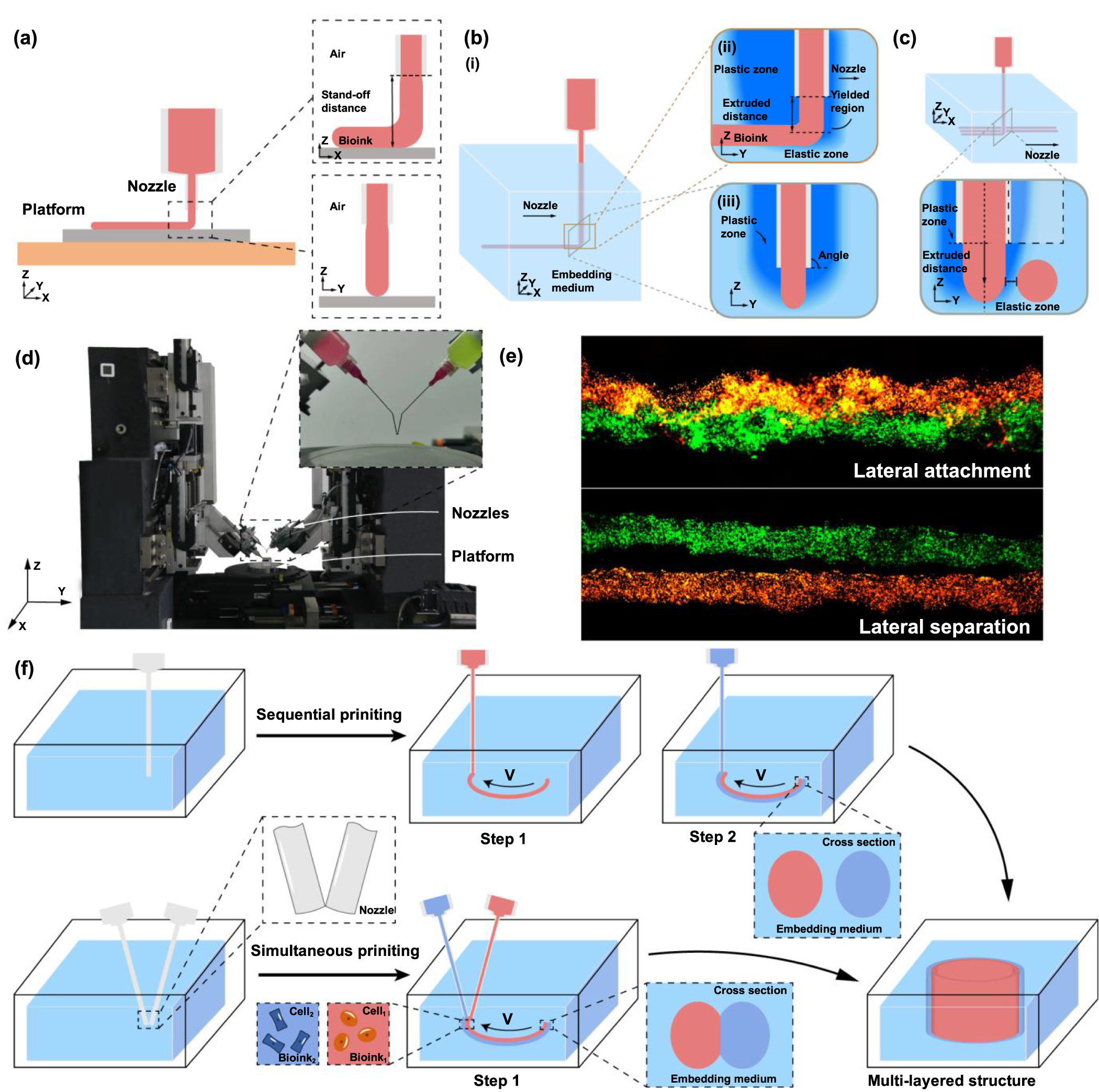 Simultaneous multi-material embedded printing for 3D heterogeneous structures - IOPscience