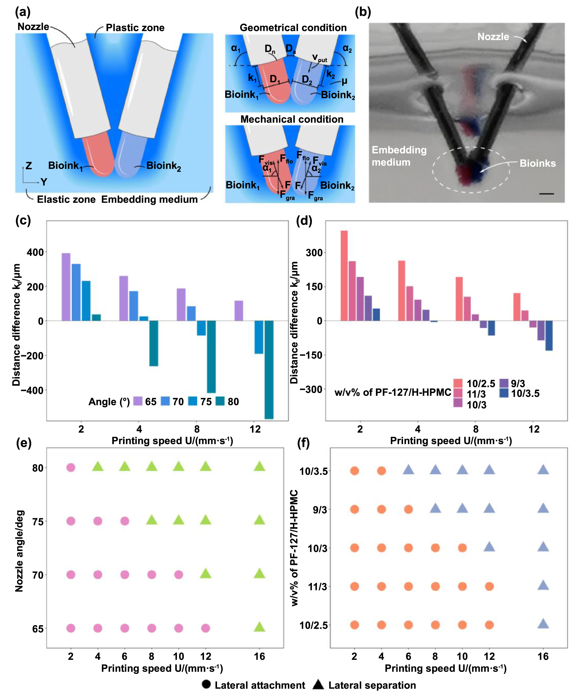Simultaneous multi-material embedded printing for 3D heterogeneous ...