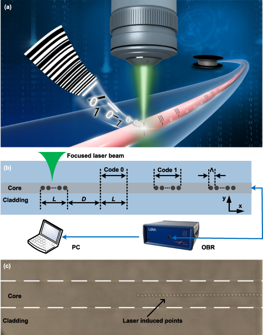 Encrypted optical fiber tag based on encoded fiber Bragg grating array ...
