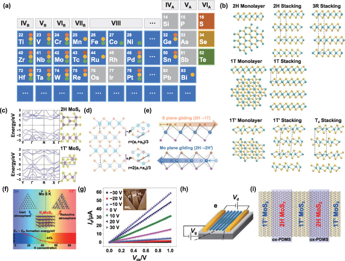 Comparative coherence between layered and traditional semiconductors ...