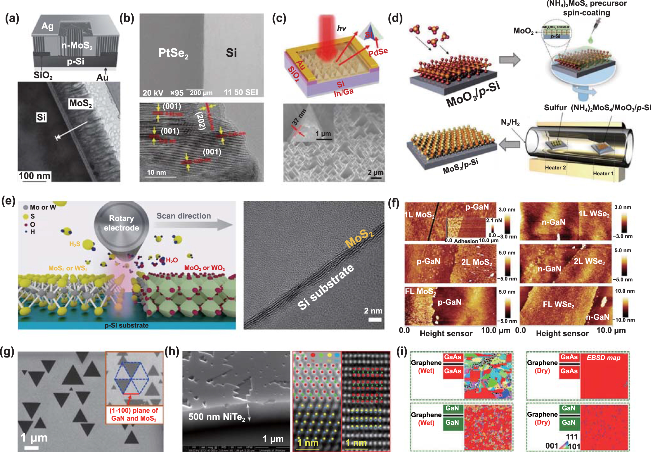 Comparative coherence between layered and traditional semiconductors ...