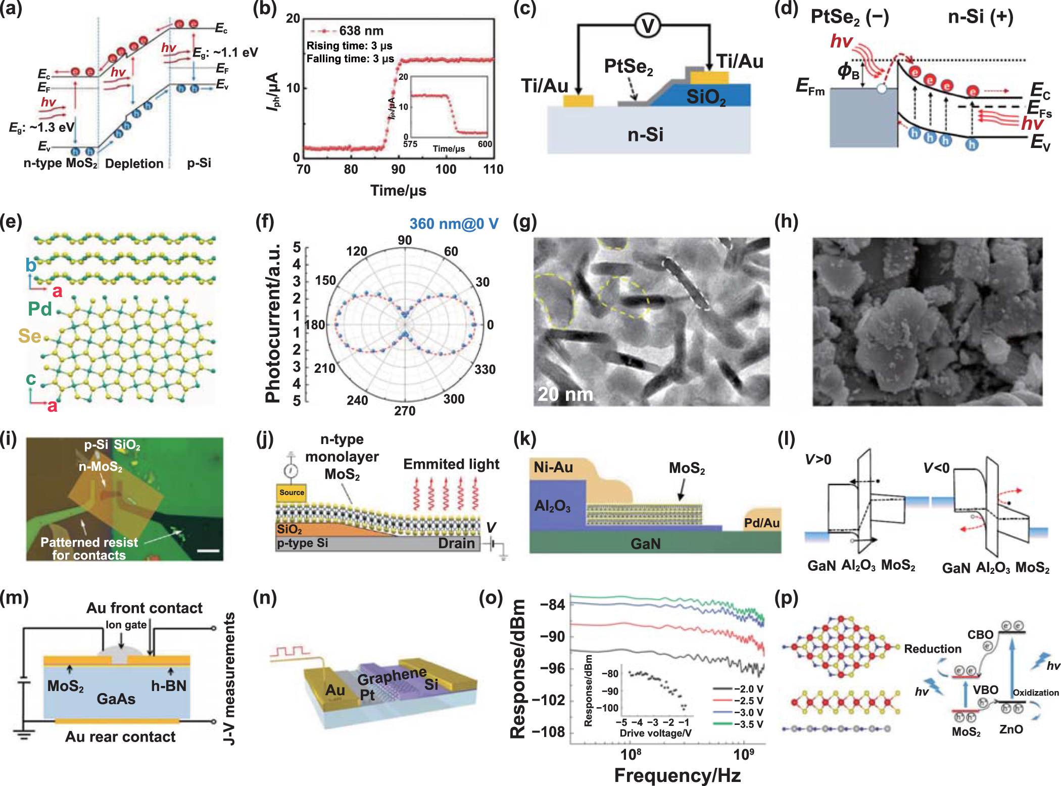 Comparative coherence between layered and traditional semiconductors ...