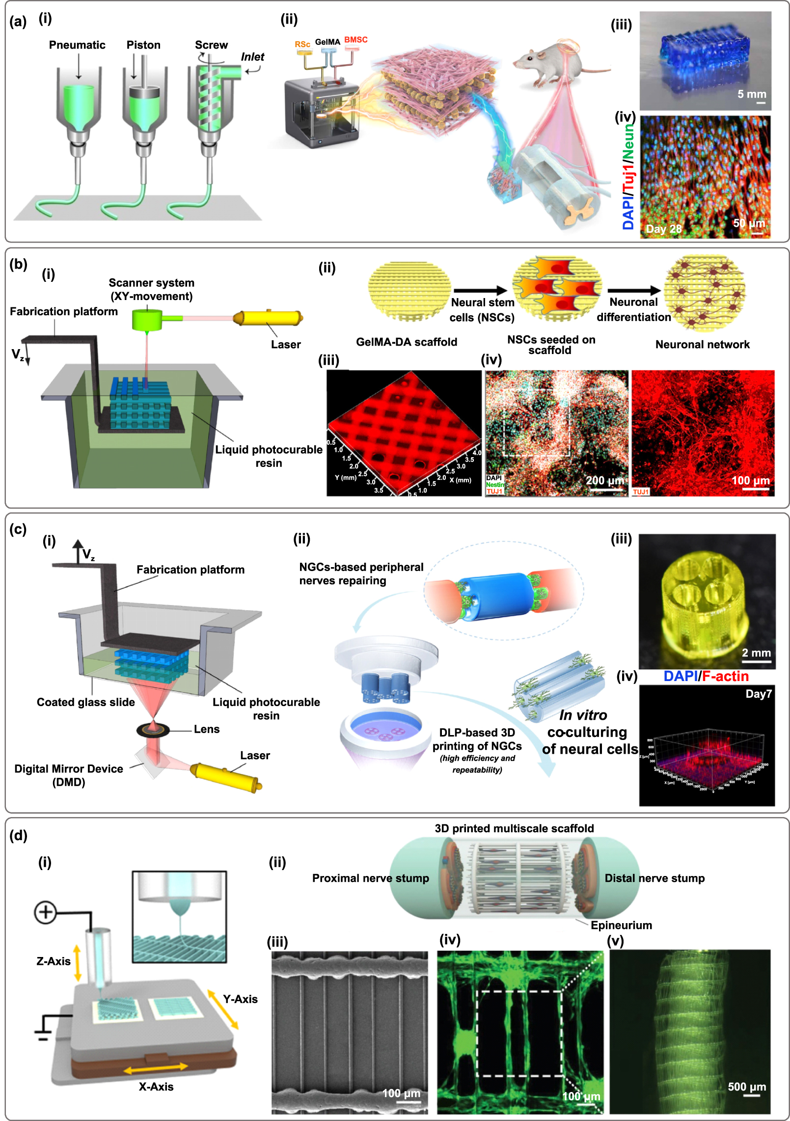 3D printing of functional bioengineered constructs for neural ...