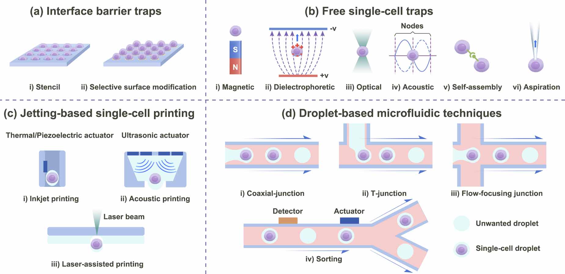 Biofabrication strategies with single-cell resolution: a review ...