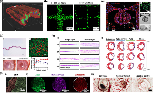 Biofabrication strategies with single-cell resolution: a review ...