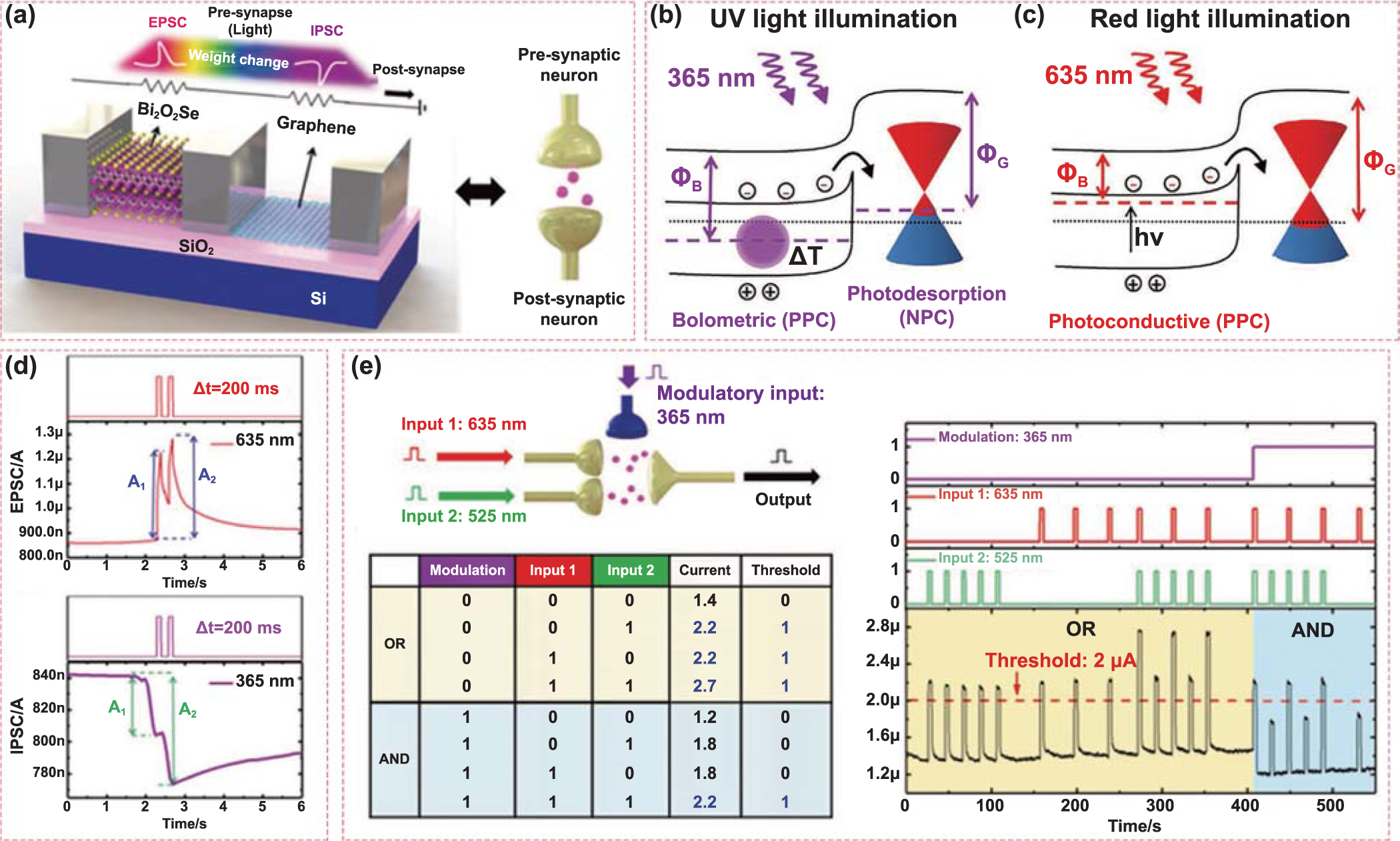 Manufacturing of graphene based synaptic devices for optoelectronic ...