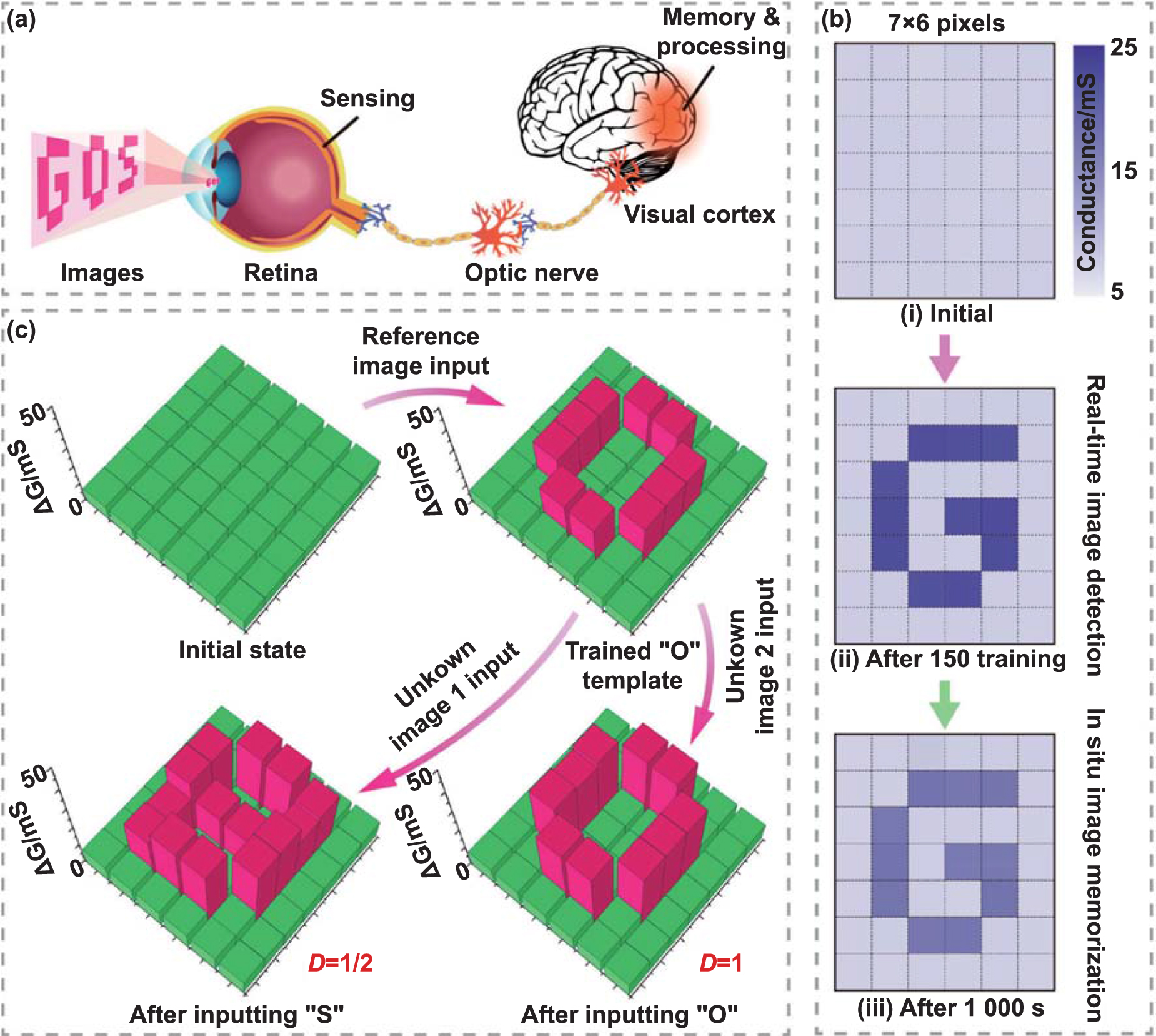 Manufacturing of graphene based synaptic devices for optoelectronic ...