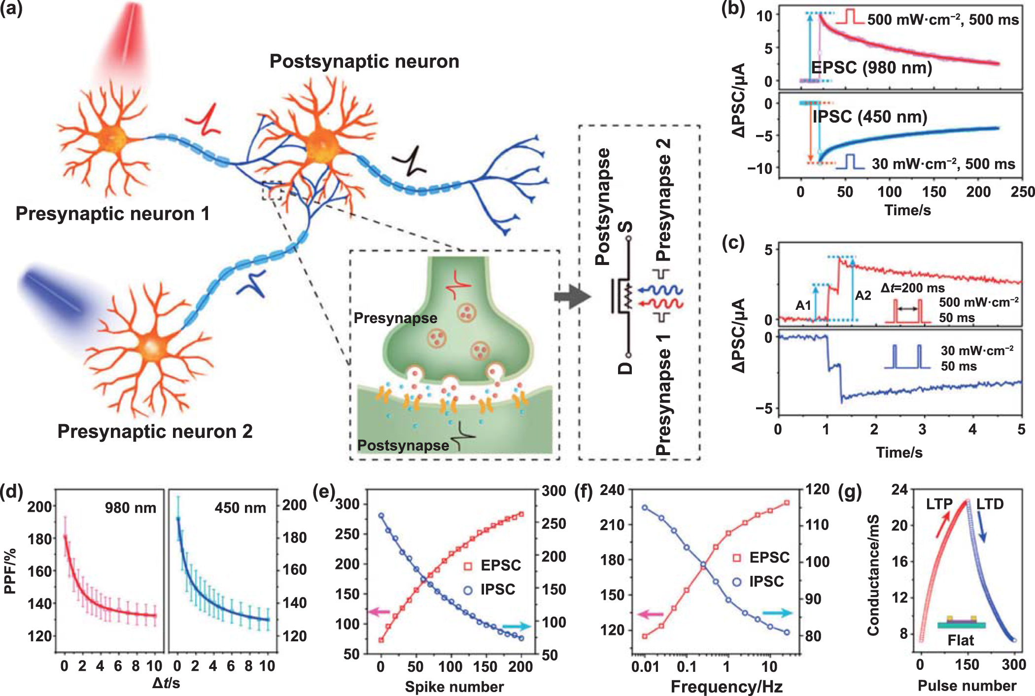 Manufacturing of graphene based synaptic devices for optoelectronic ...