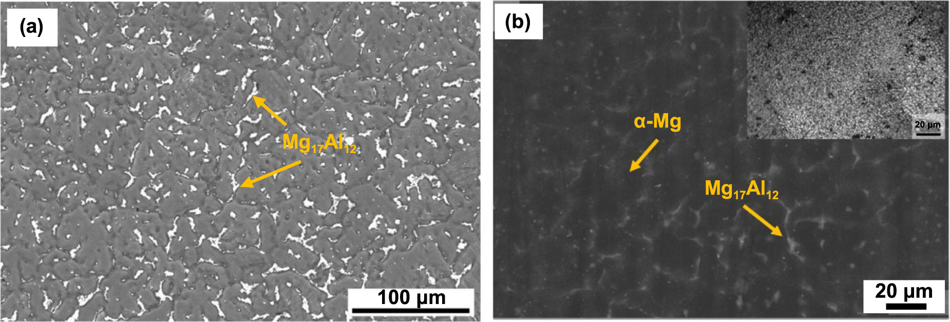 Additive manufacturing of magnesium and its alloys: process-formability ...