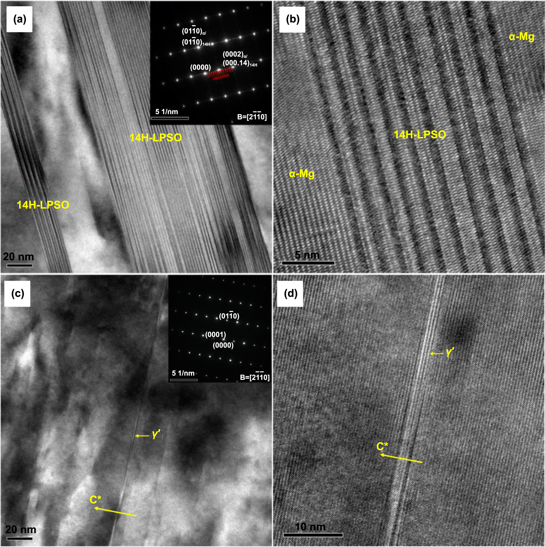 Additive manufacturing of magnesium and its alloys: process-formability ...