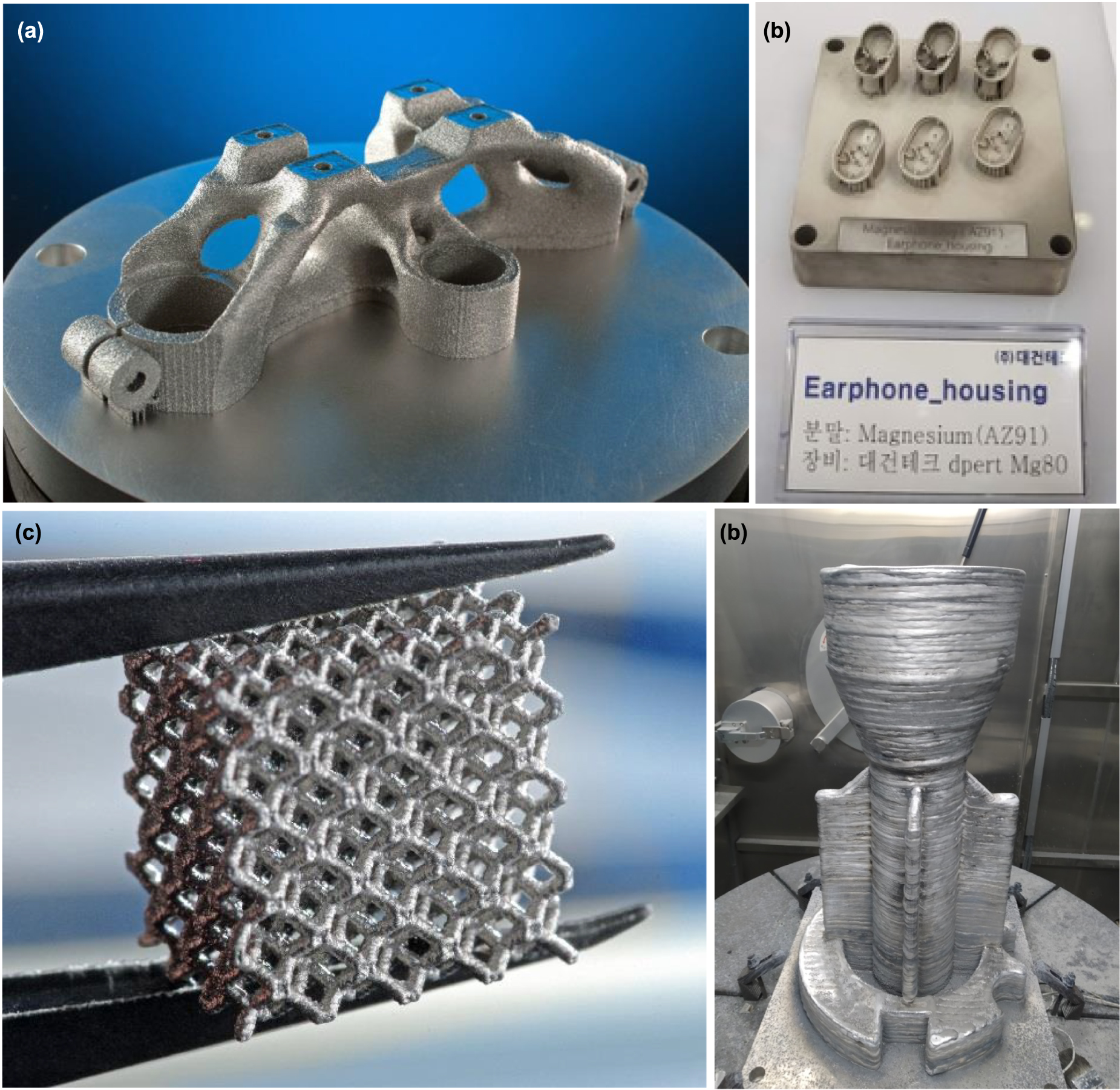 Additive manufacturing of magnesium and its alloys: process-formability ...