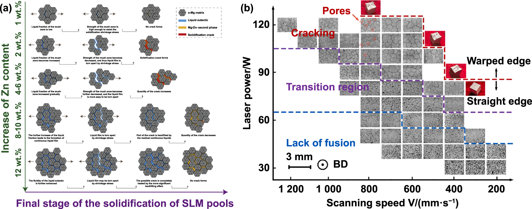 Additive manufacturing of magnesium and its alloys: process-formability ...
