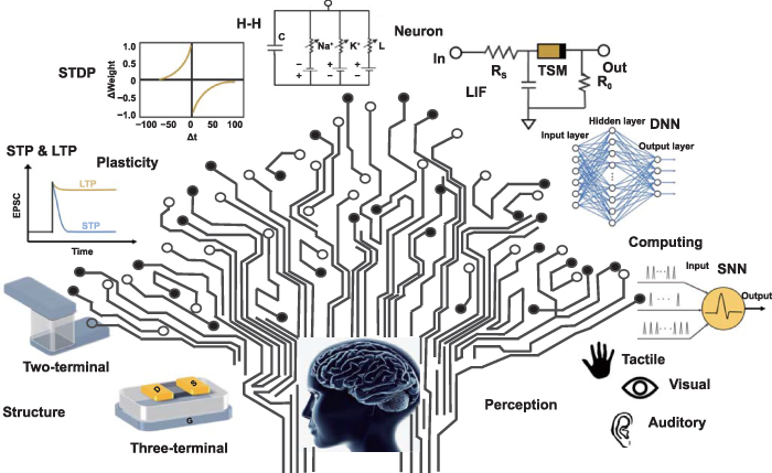 CMOS-compatible neuromorphic devices for neuromorphic perception and ...