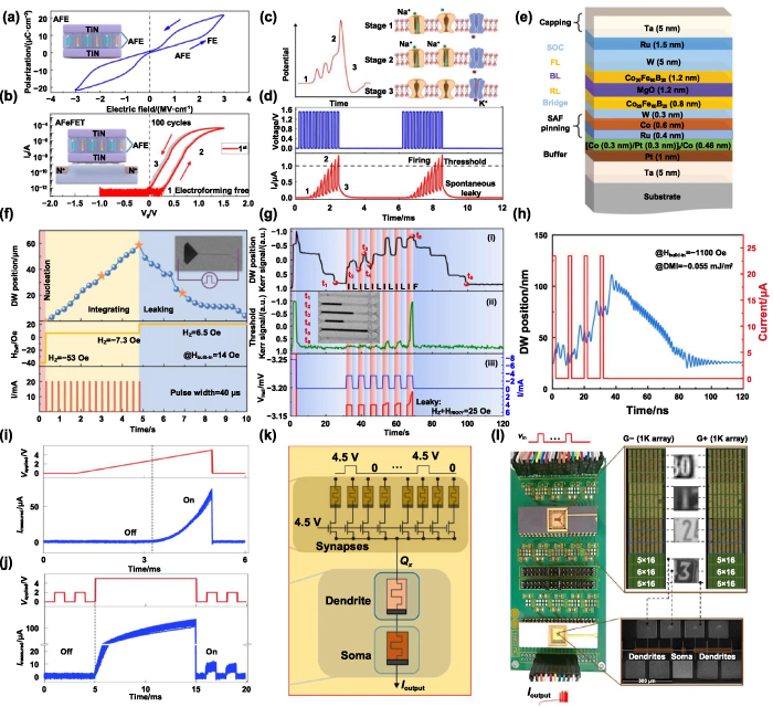 CMOS-compatible neuromorphic devices for neuromorphic perception and ...