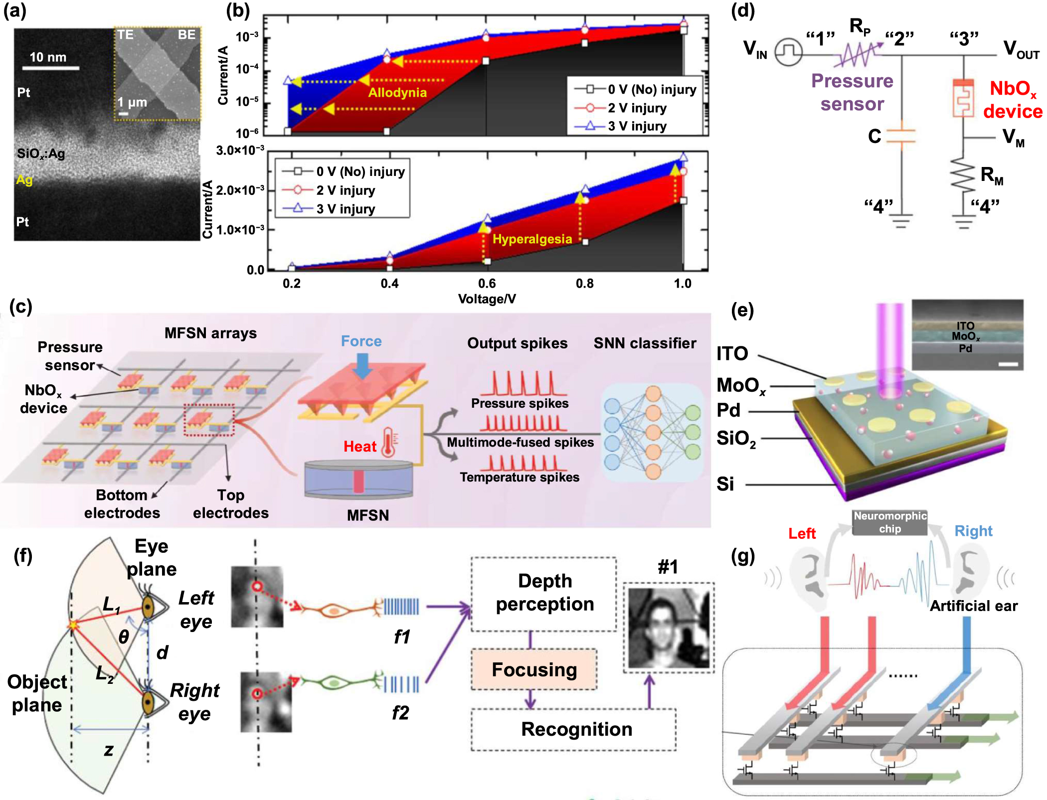 CMOS-compatible neuromorphic devices for neuromorphic perception and ...
