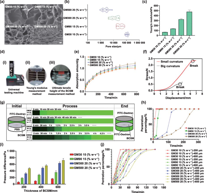 A bionic controllable strain membrane for cell stretching at air–liquid ...