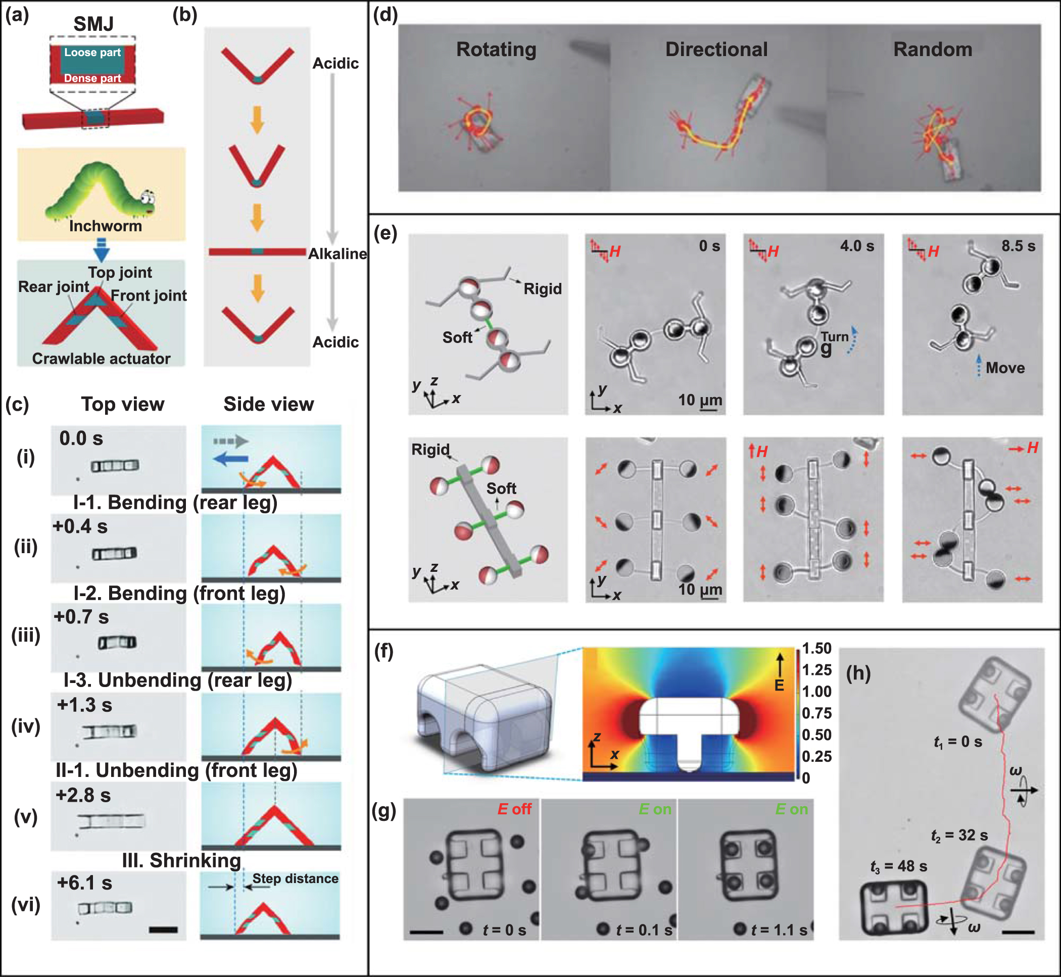 Two-photon polymerization-based 4D printing and its applications ...