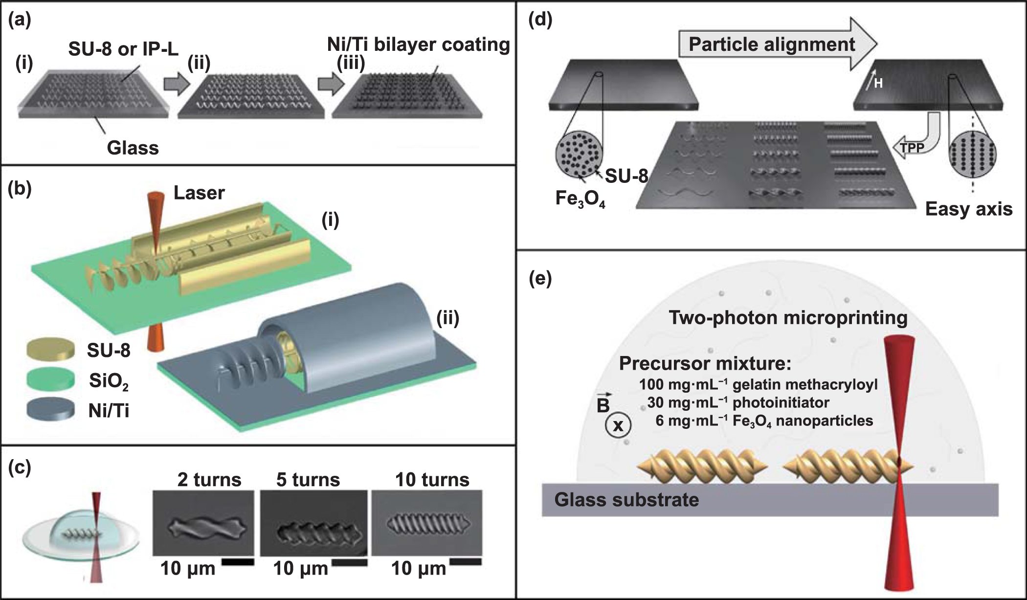 Two-photon polymerization-based 4D printing and its applications ...