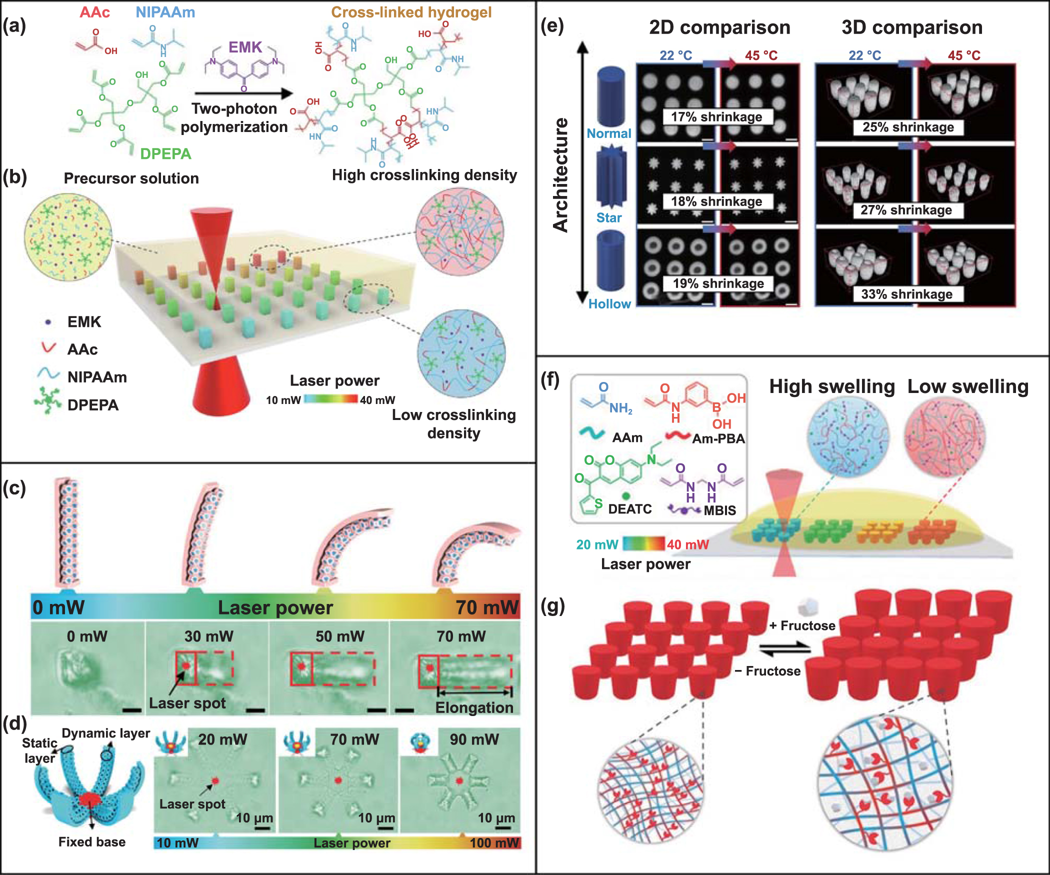 Two-photon polymerization-based 4D printing and its applications ...