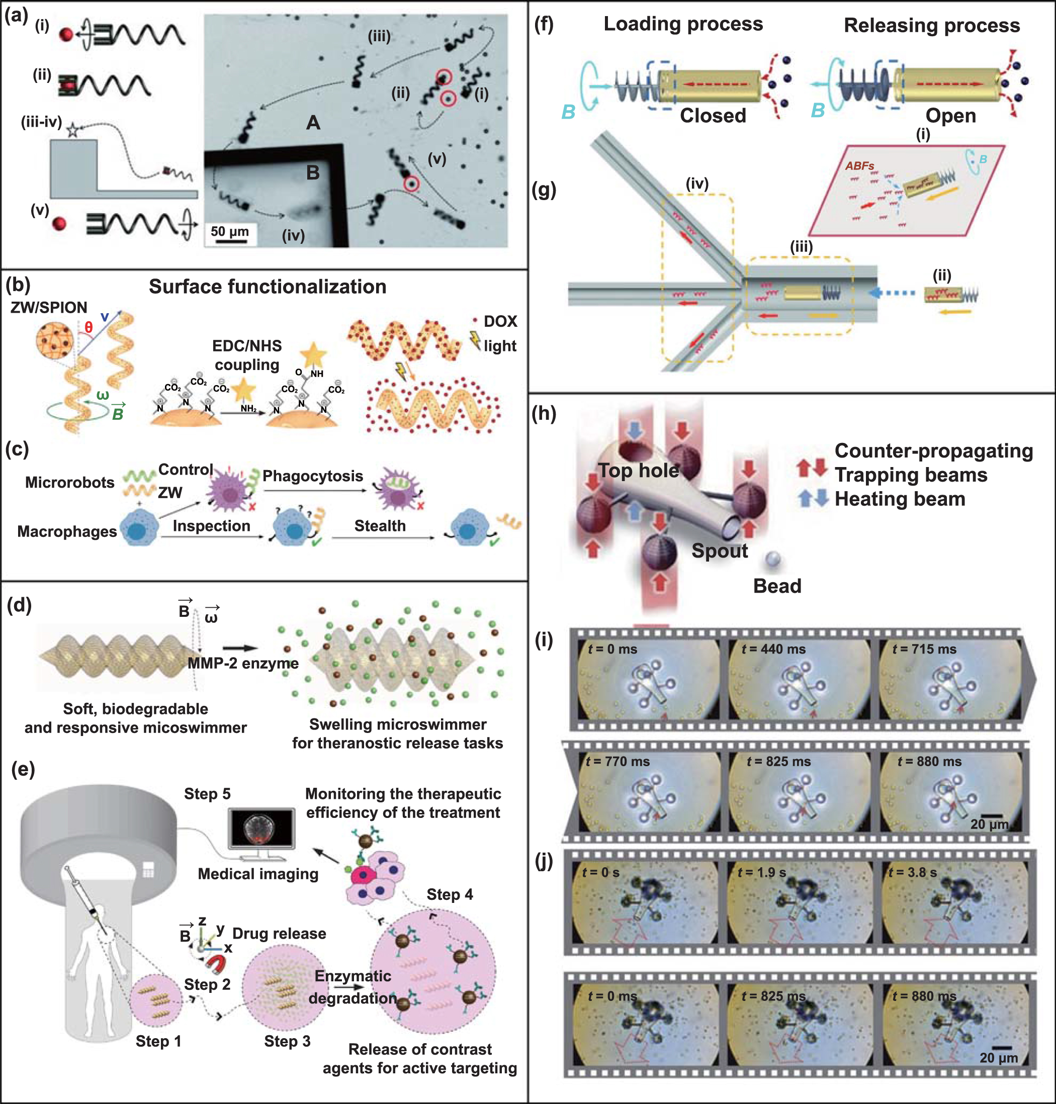 Two-photon polymerization-based 4D printing and its applications ...