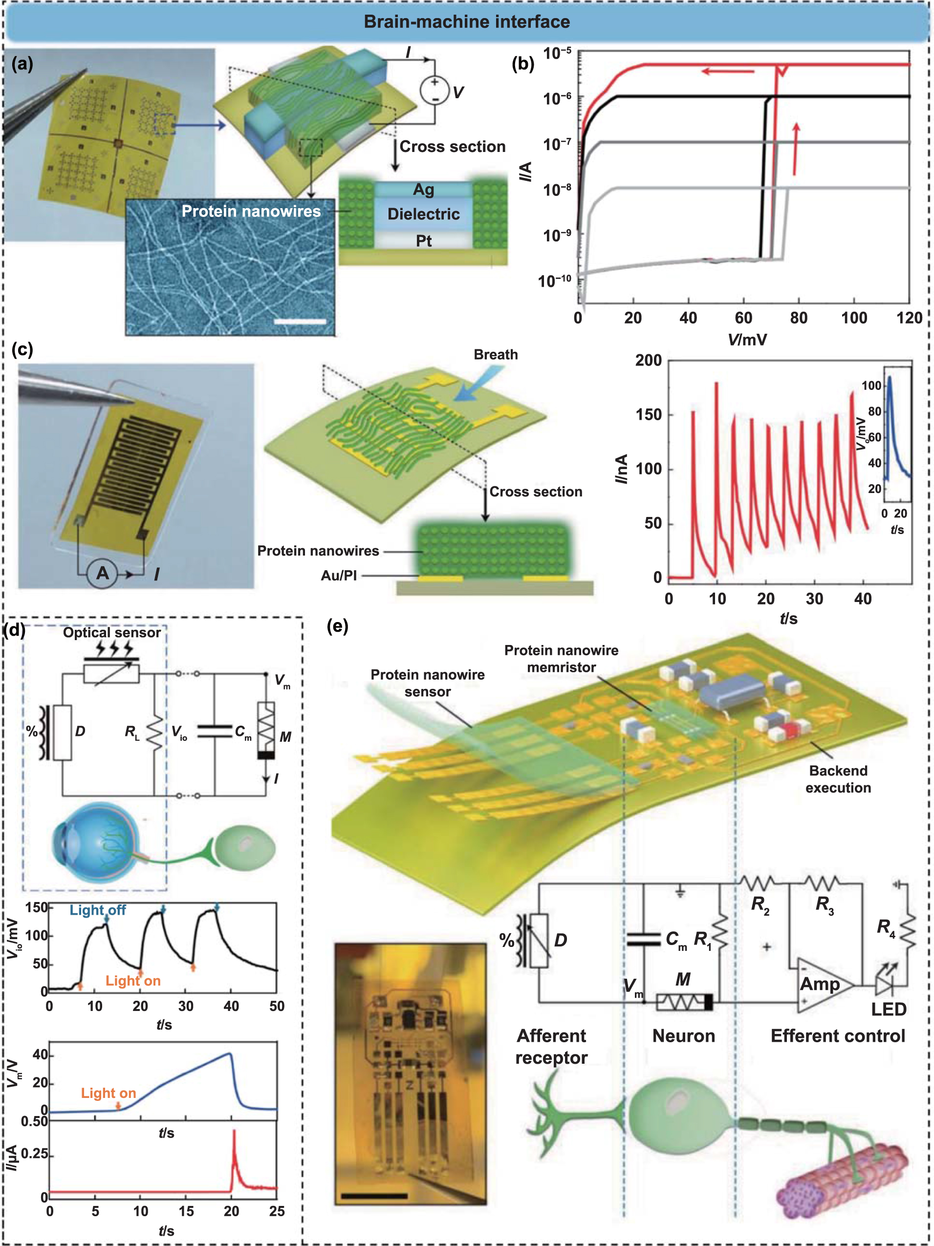 Advances in memristor based artificial neuron fabrication-materials ...